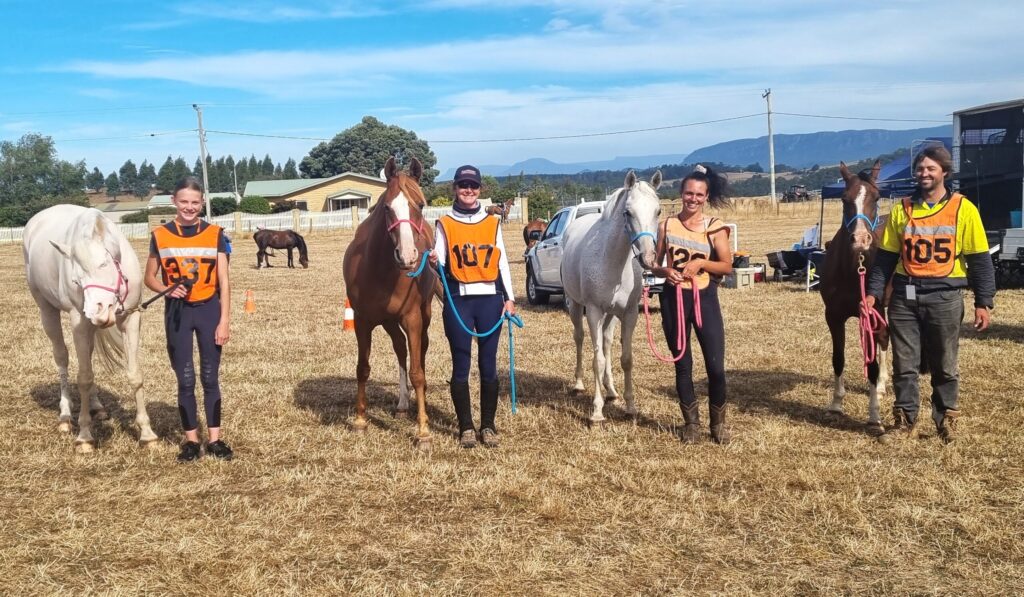Endurance Riding 2025 Season Wrap-Up: Rider Susan Woodward