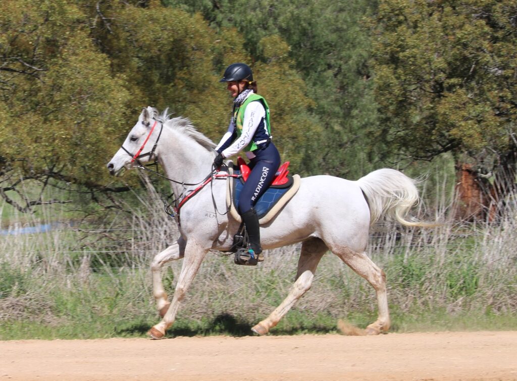 Endurance Riding 2025 Season Wrap-Up: Rider Susan Woodward